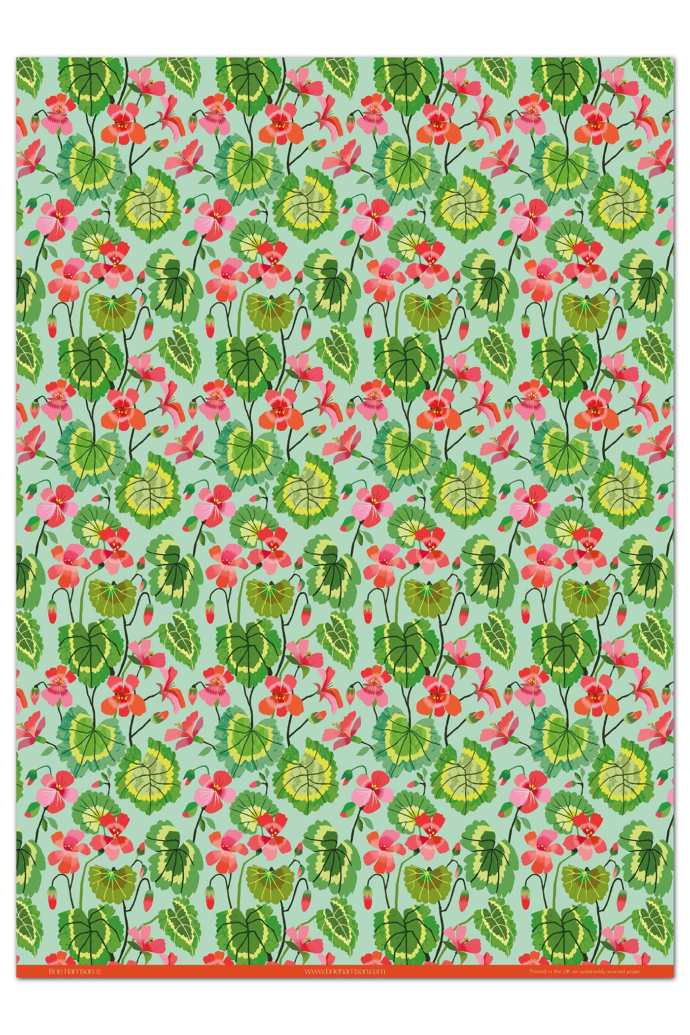 Geranium Gift Wrap - box of 24 sheets – Brie Harrison Wholesale